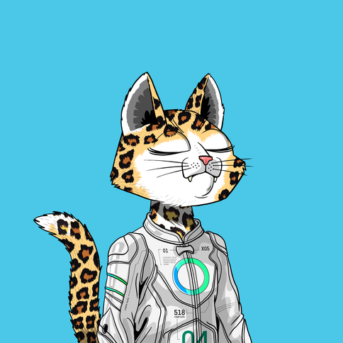 Digital Artworks Gallery | Mars Cats Voyage