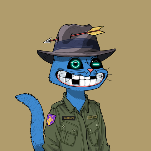 Digital Artworks Gallery | Mars Cats Voyage