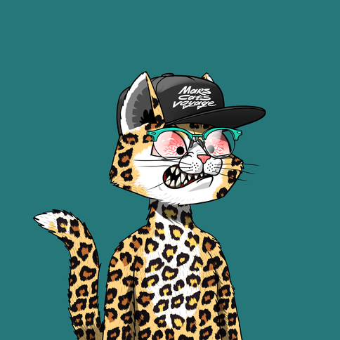 Digital Artworks Gallery | Mars Cats Voyage